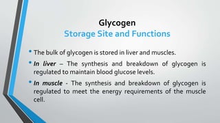 Glycogen metabolism | PPTX