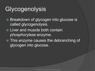 Glycogen metabolism | PPT