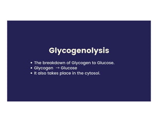 Glycogen Metabolism | Glycogenesis | Glycogenolysis | | PPT