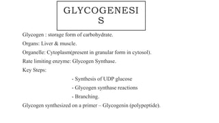 Glycogen Metabolism.pptx