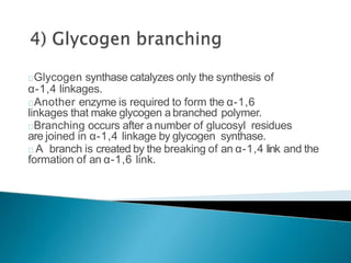 Glycogen Metabolism.pptx