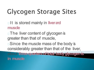 Glycogen Metabolism.pptx | Chemistry | Science