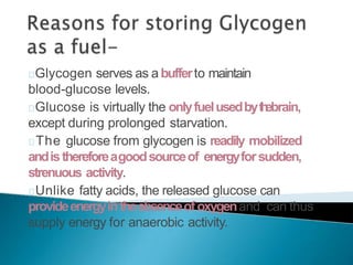 Glycogen Metabolism.pptx