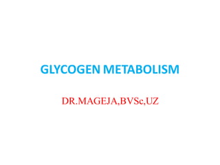 GLYCOGEN METABOLISM IN ANIMALS FOR VETS.pdf