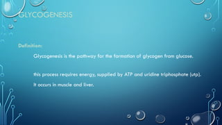 glycogen metabolism.pptx........... by Keerthi | PPTX