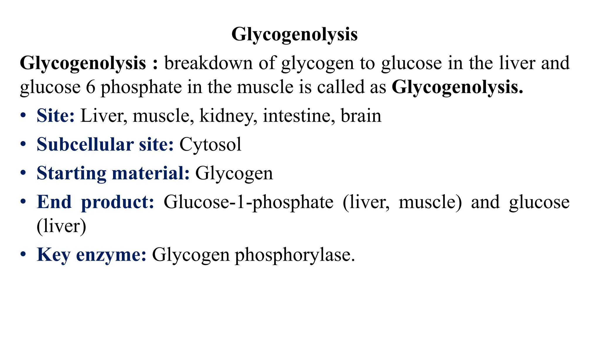 Glycogen Metabolism - Glycogenesis, Glycogenolysis | PDF