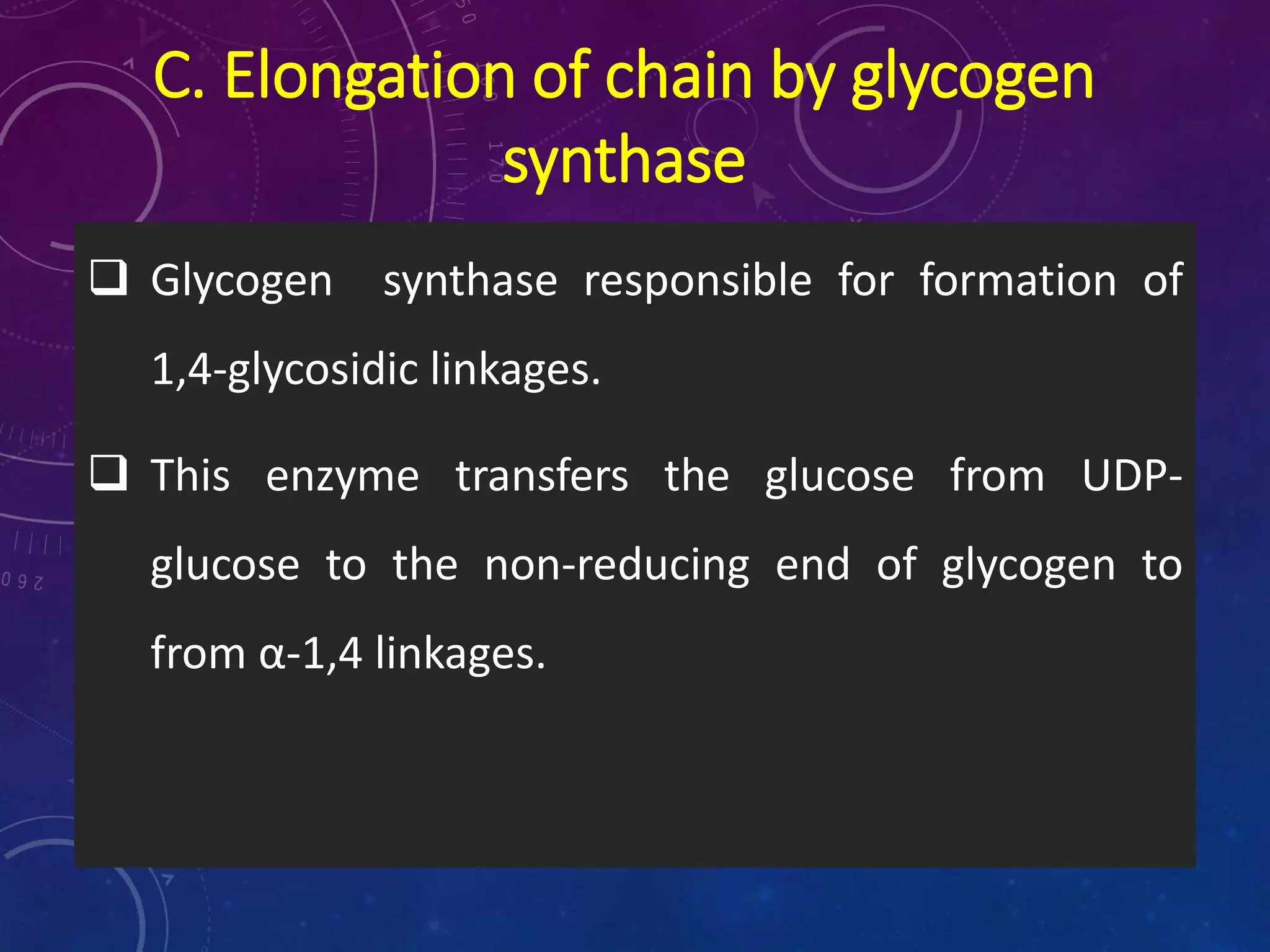Glycogen metabolism s | PPT