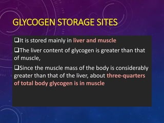 Glycogen metabolism s | PPT