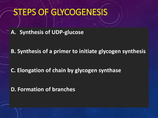 Glycogen metabolism s | PPT