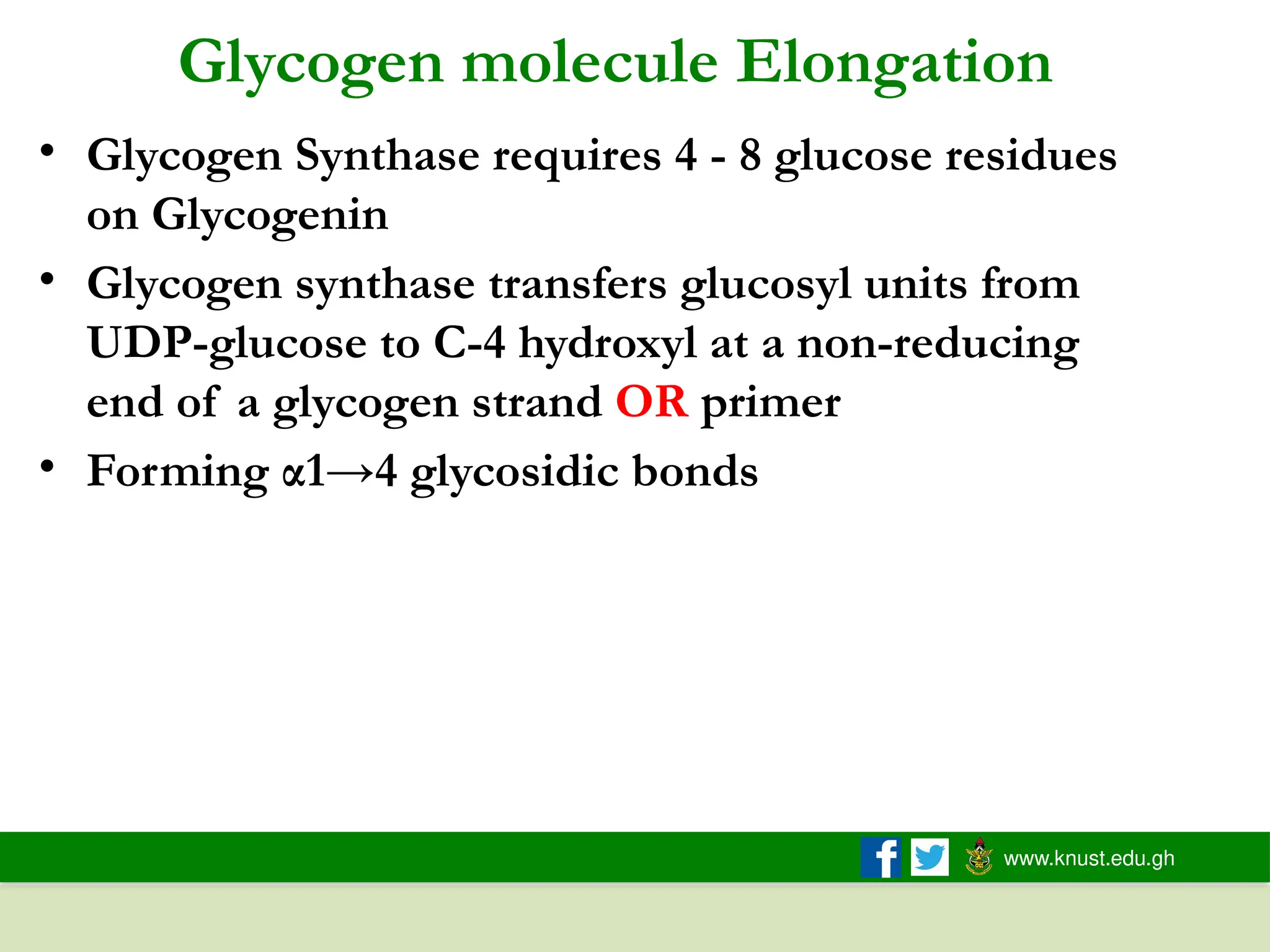 Lecture Note on Glycogen Metabolism_23.pptx