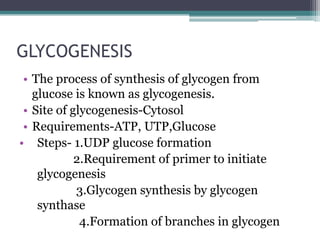 Glycogen metabolism and it’s regulation | PDF