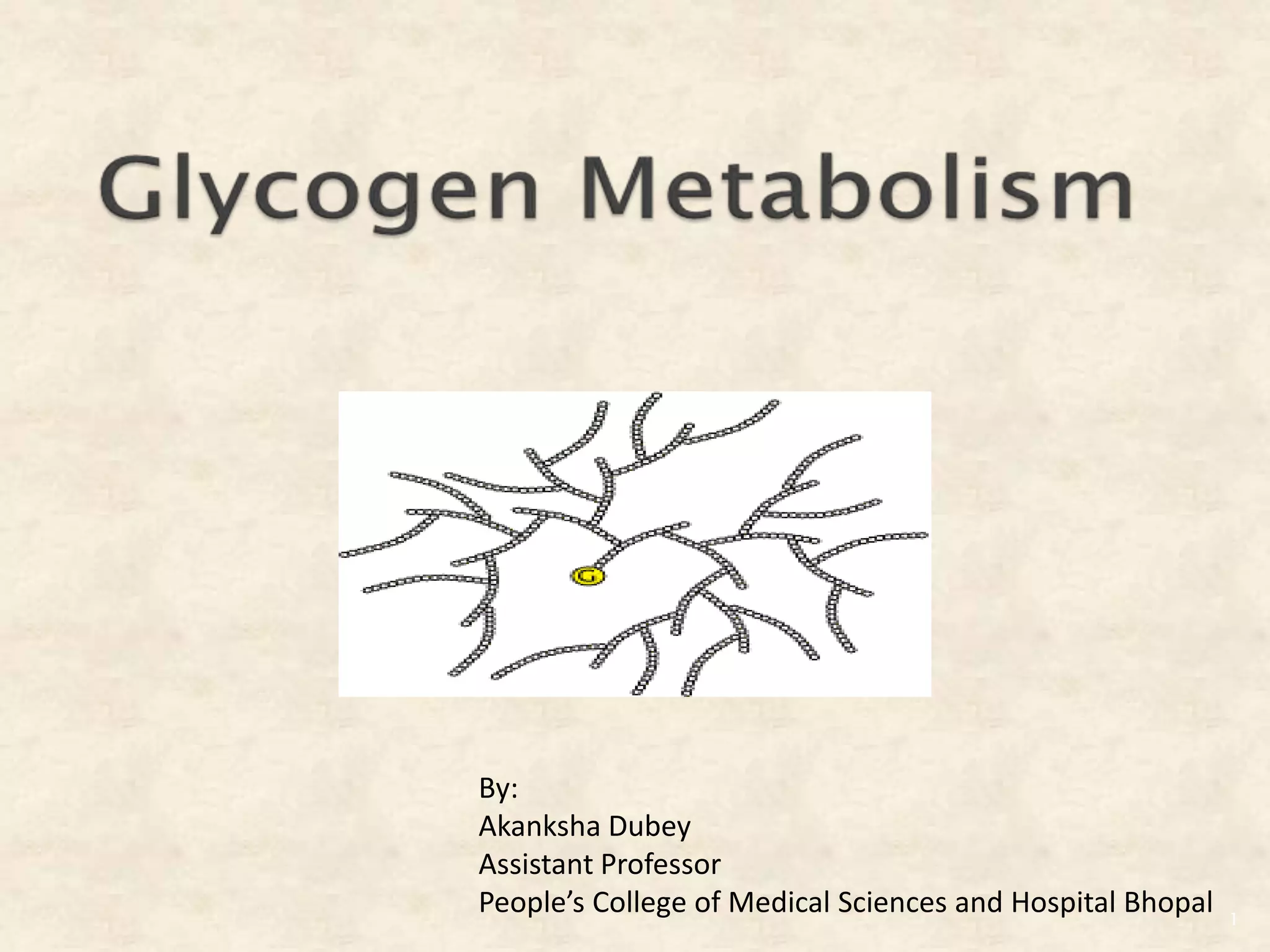 Glycogen metabolism and its regulation | PPTX