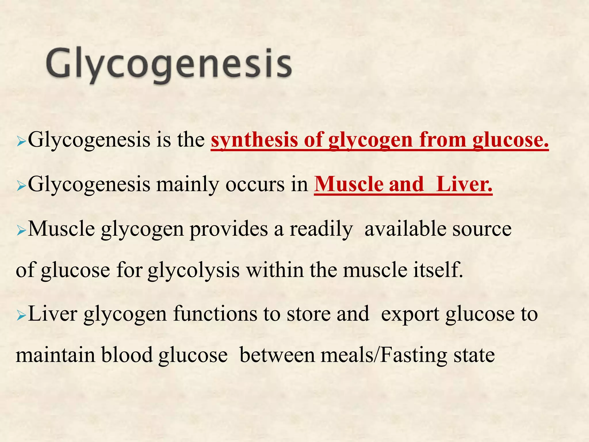 Glycogen metabolism and its regulation | PPTX