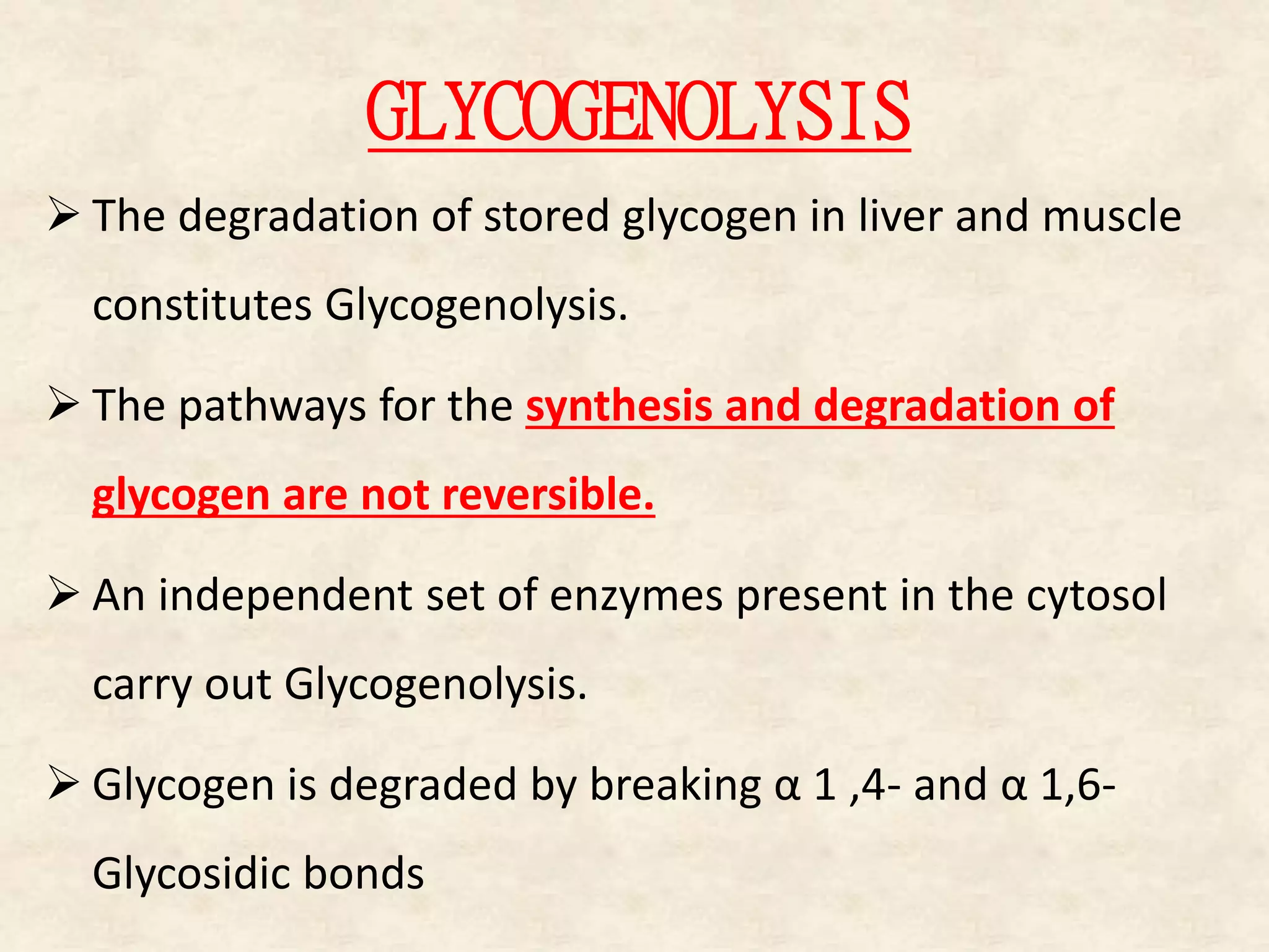 Glycogen metabolism and its regulation | PPTX