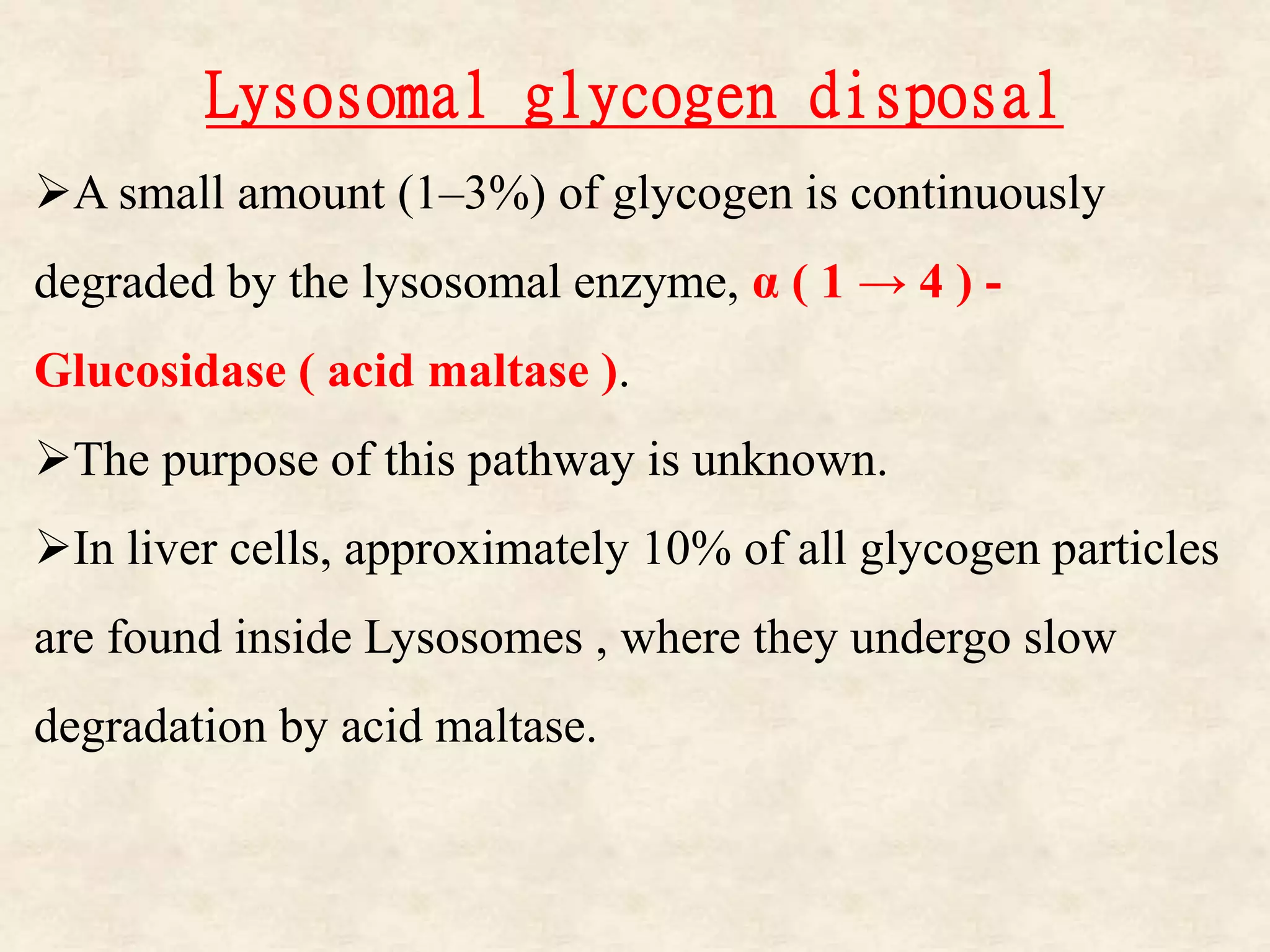 Glycogen metabolism and its regulation | PPTX