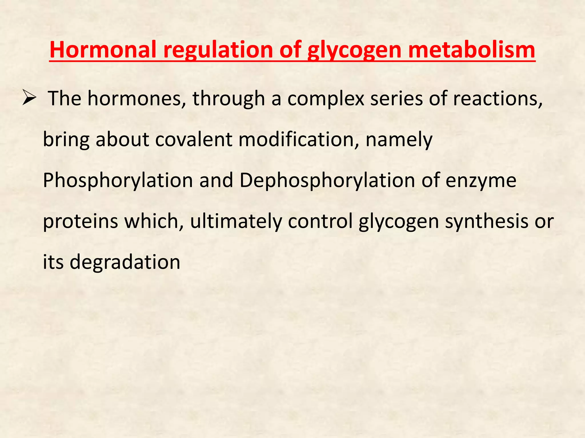 Glycogen metabolism and its regulation | PPTX