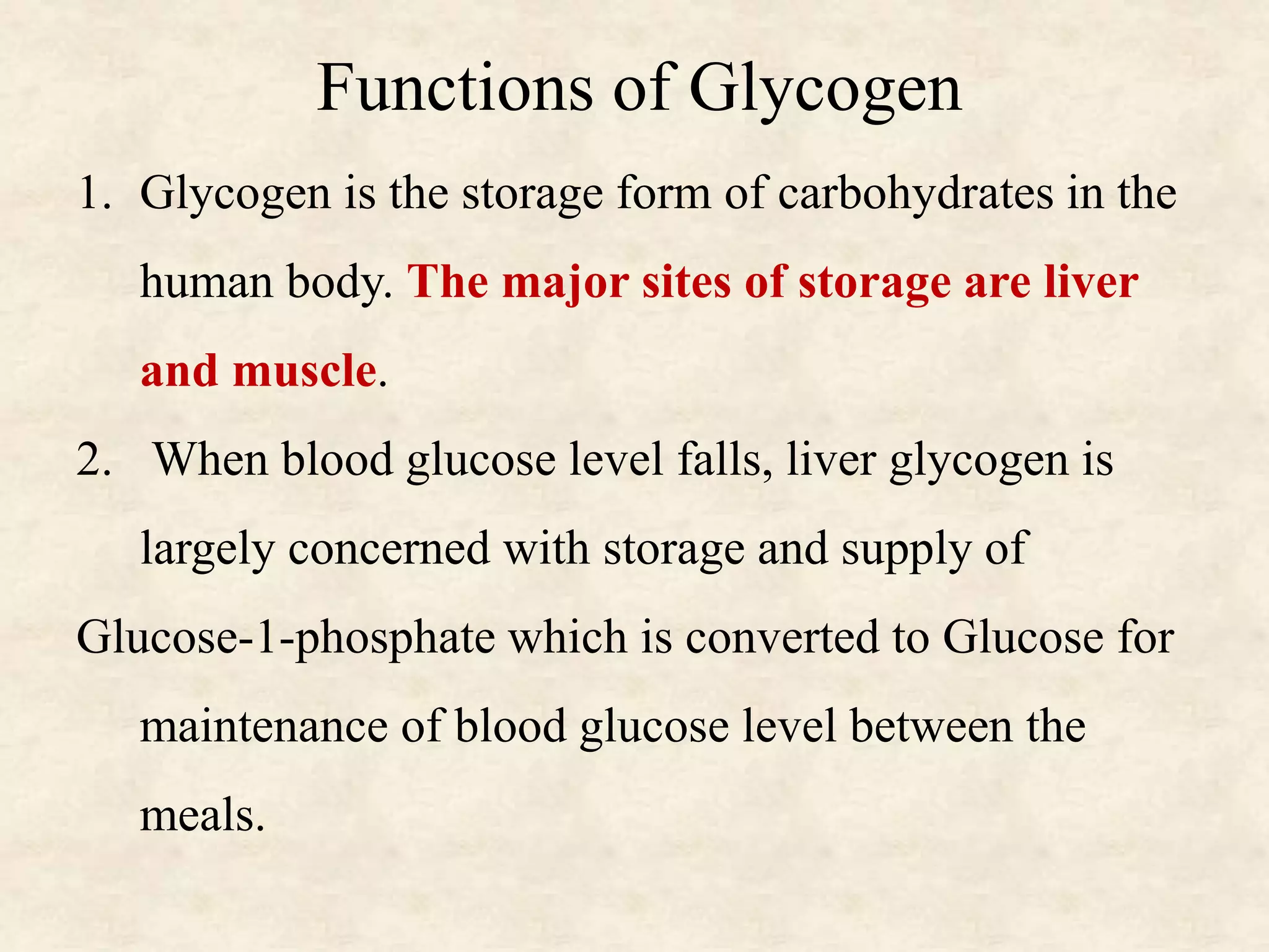 Glycogen metabolism and its regulation | PPTX