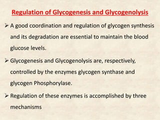 Glycogen metabolism and its regulation | PPTX