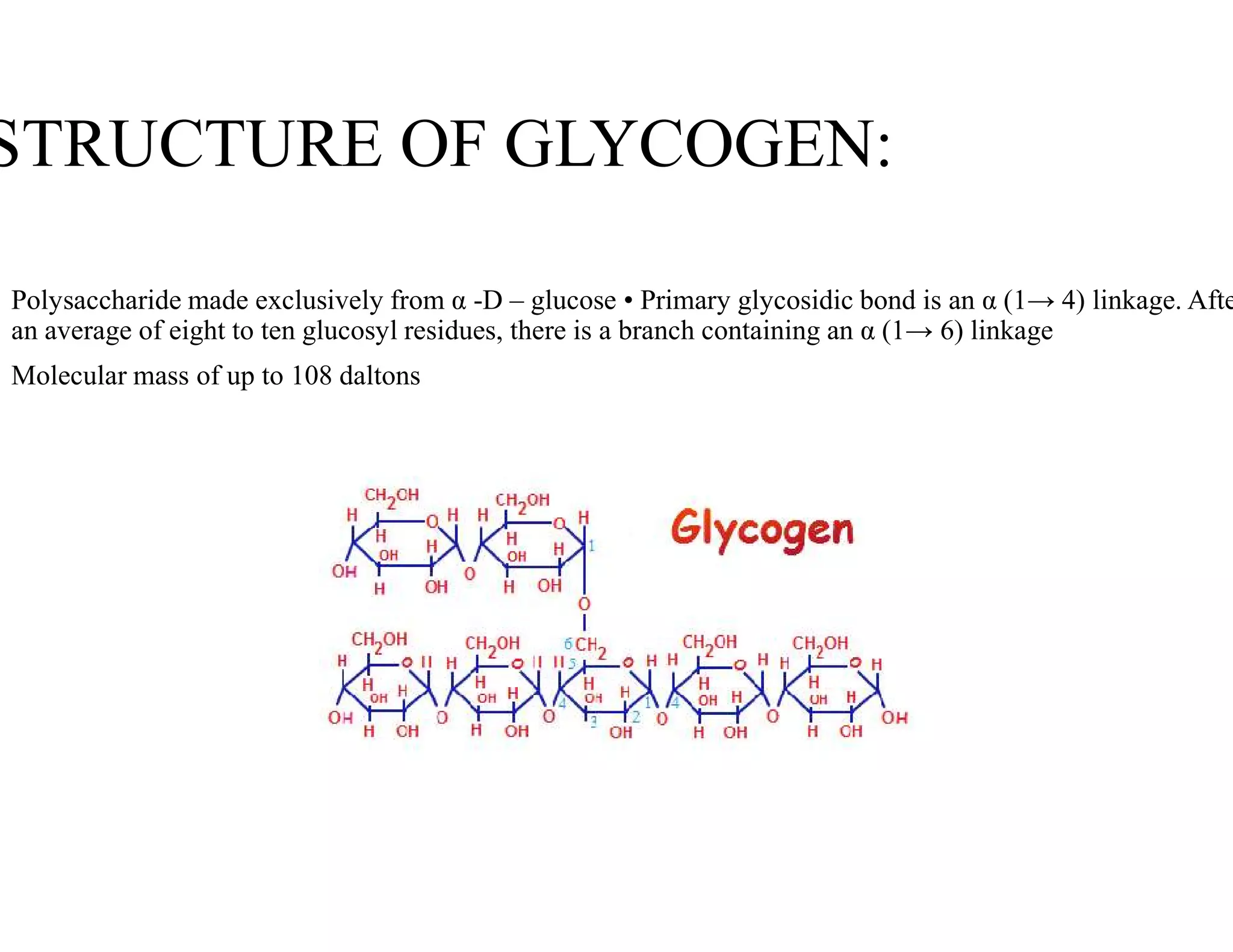 Glycogen metabolism pathway | PDF