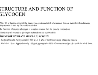 Glycogen metabolism pathway | PDF