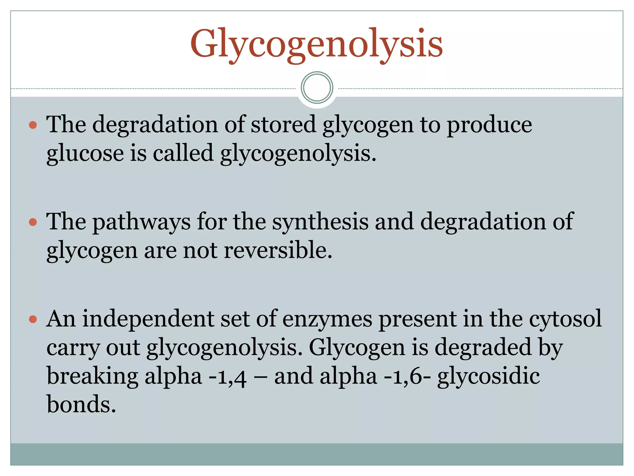 Glycogen Metabolism Pathways.pptx