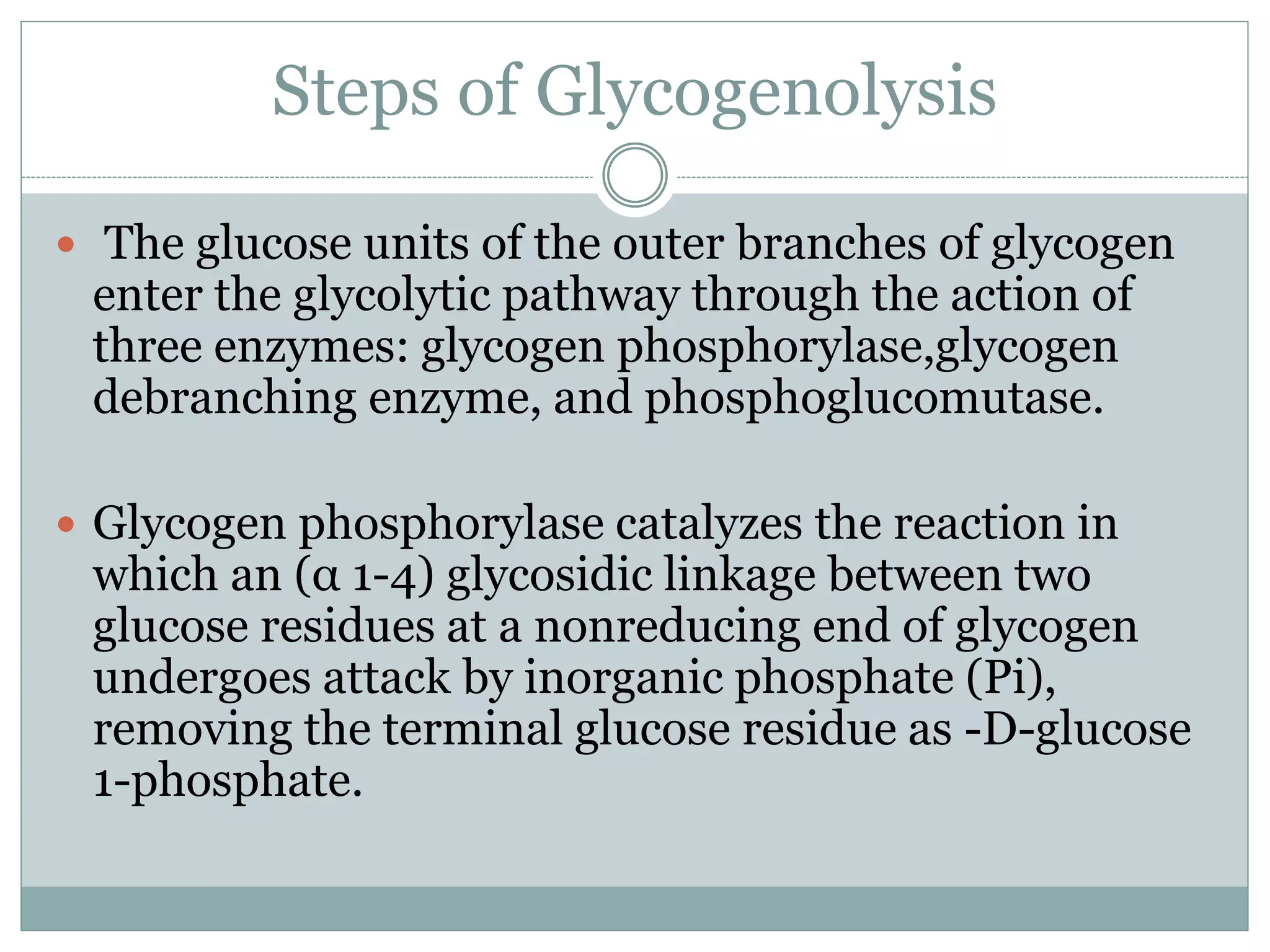 Glycogen Metabolism Pathways.pptx