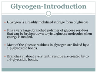 Glycogen Metabolism Pathways.pptx