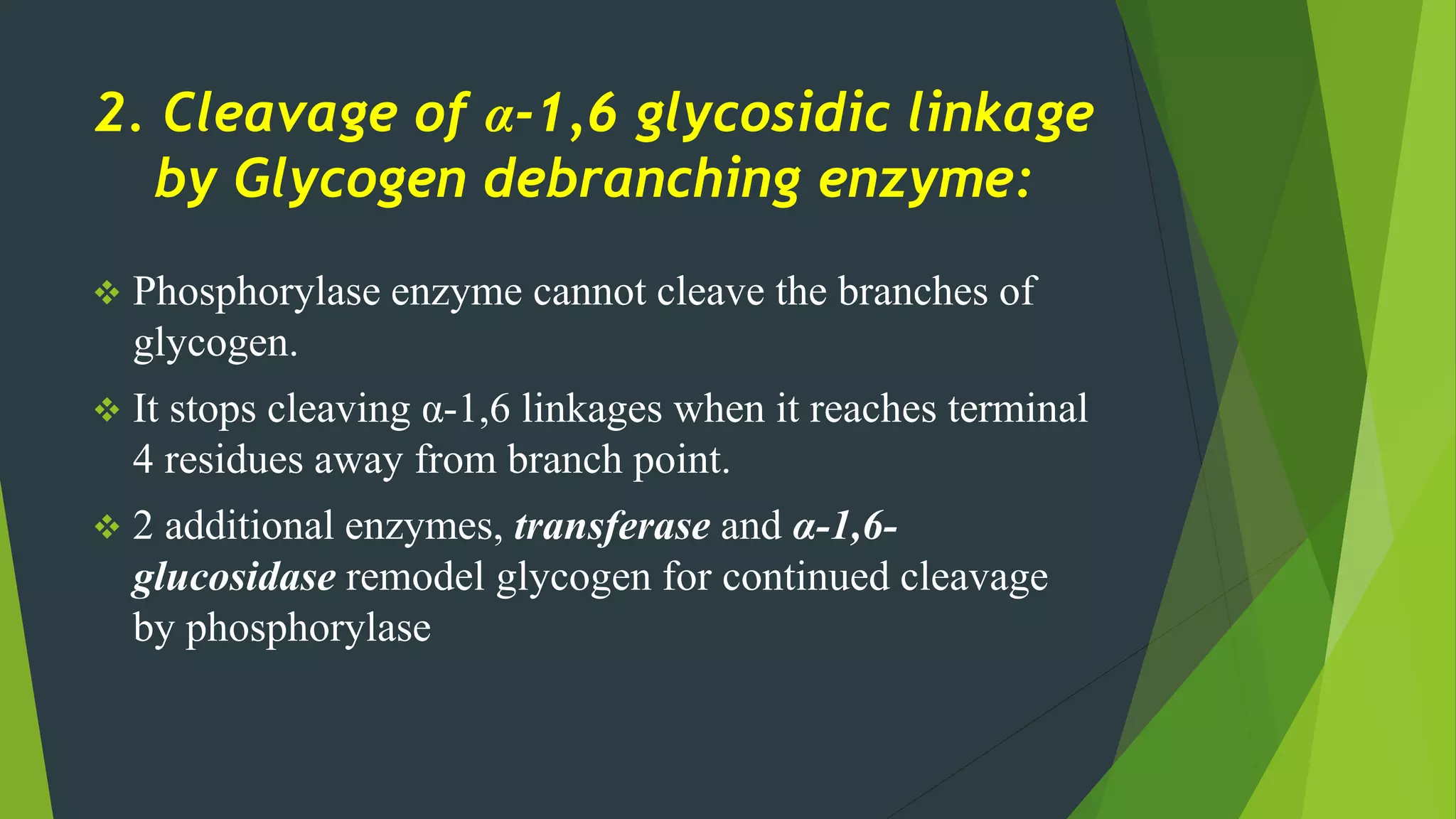 Glycogenolysis biochemistry.ppt[1] | PPTX