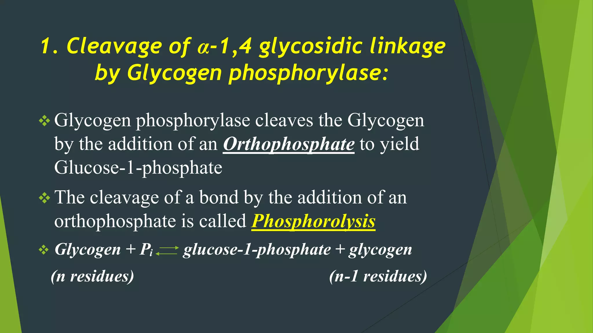 Glycogenolysis biochemistry.ppt[1] | PPTX