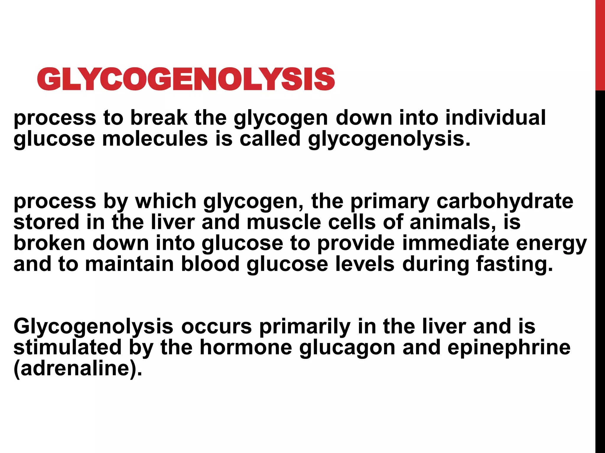 Glycogenolysis | PDF