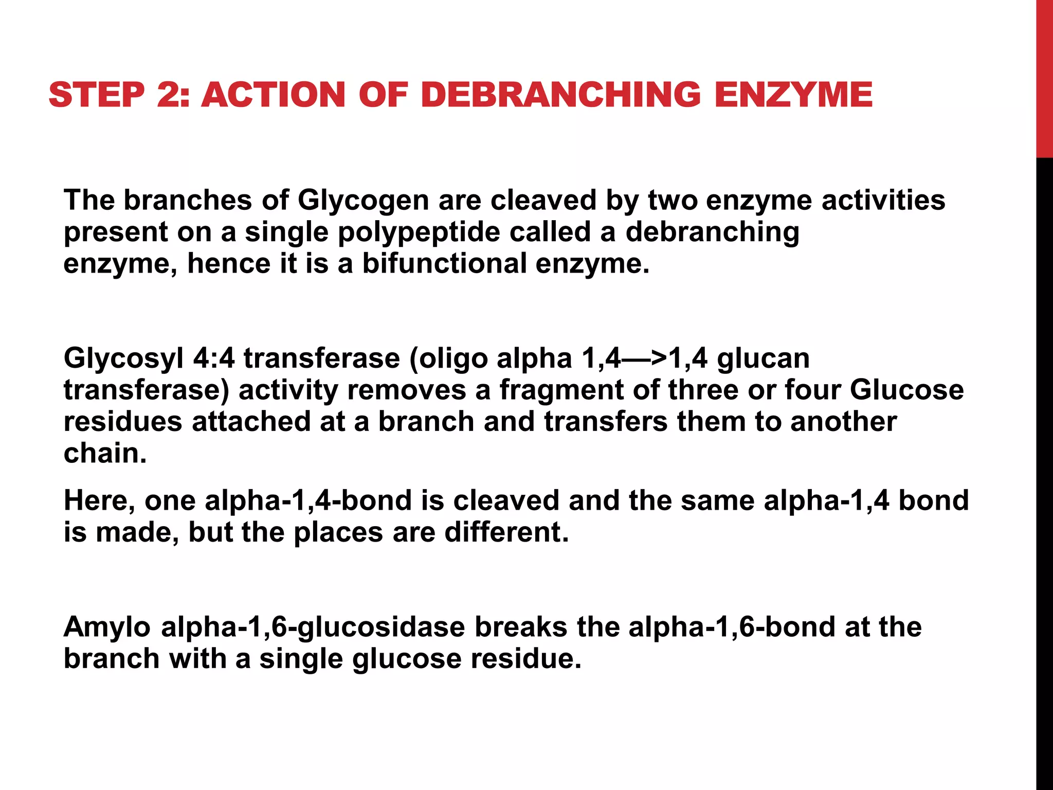 Glycogenolysis | PDF