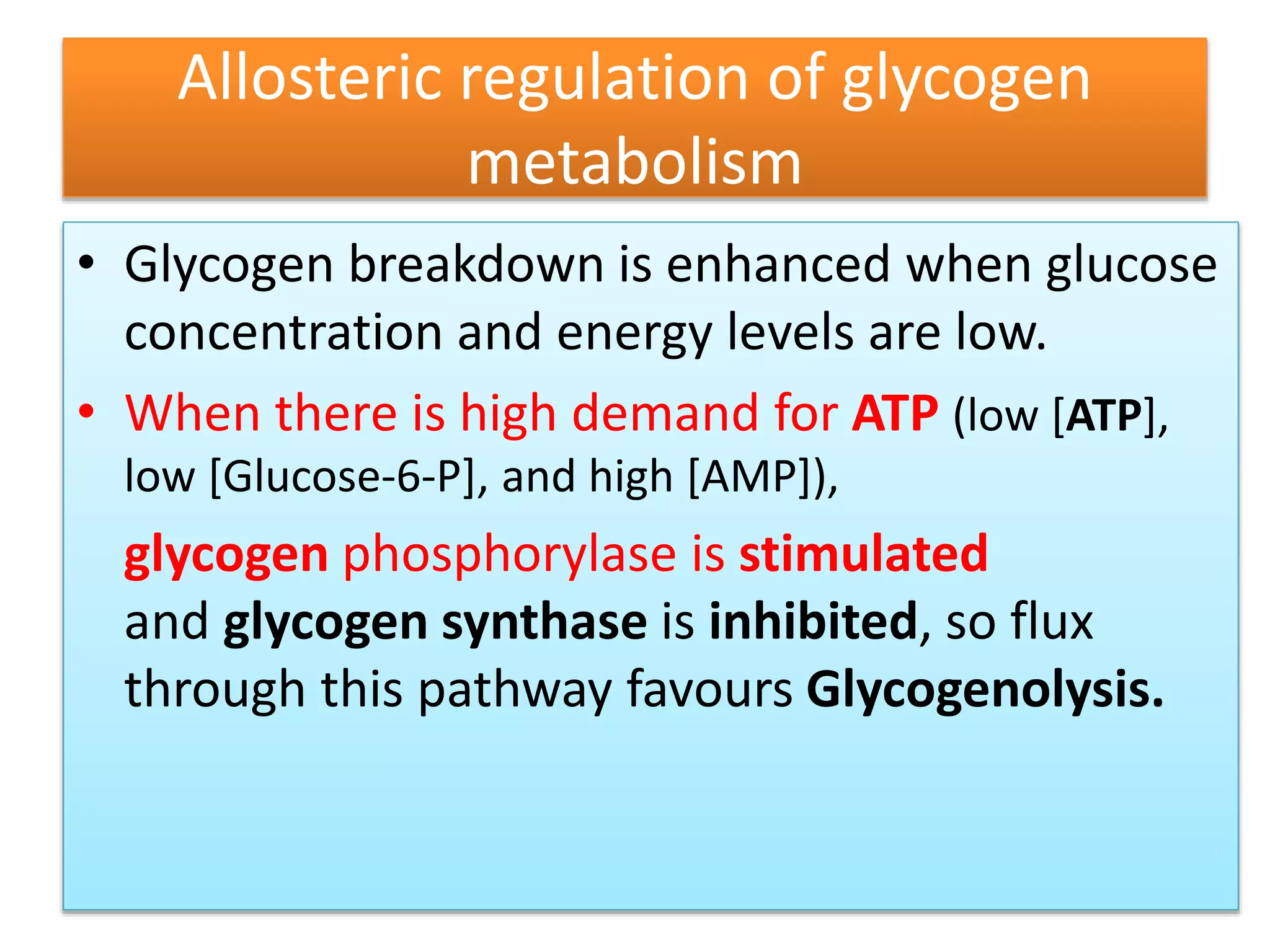 Glycogenolysis pathway and its regulation a detailed study. | PPTX