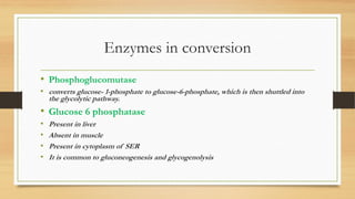 Glycogenolysis biochemistry- carbohydrate metabolism | PDF