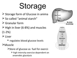 Glycogenolysis | PPT