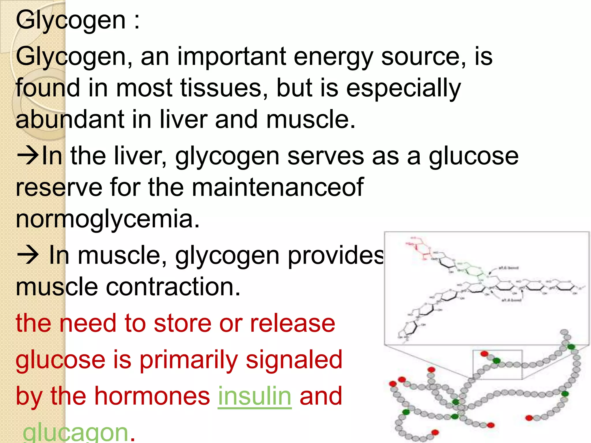 Glycogen storage disease | PPTX