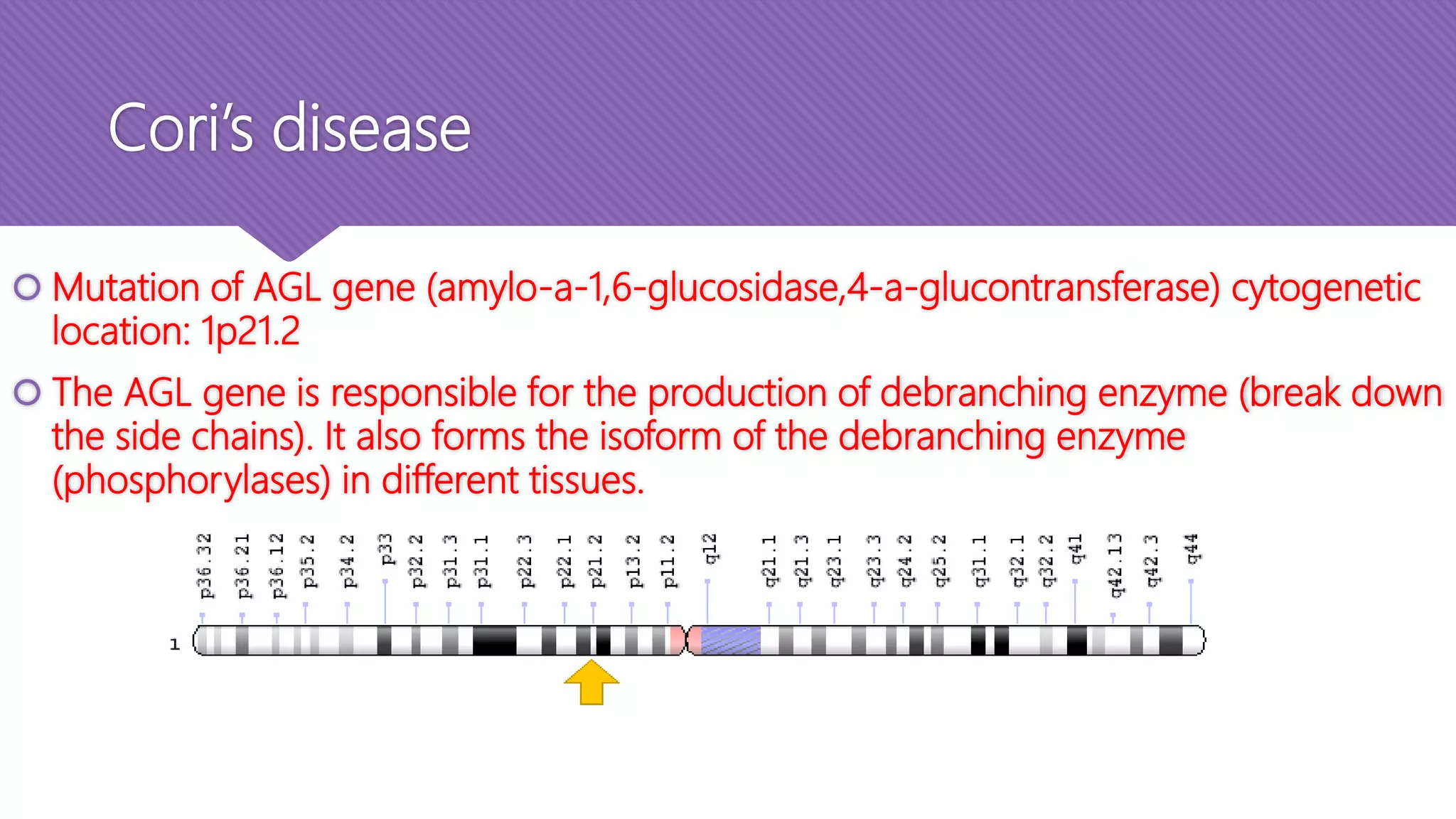Glycogen storage disorders pathology | PPTX