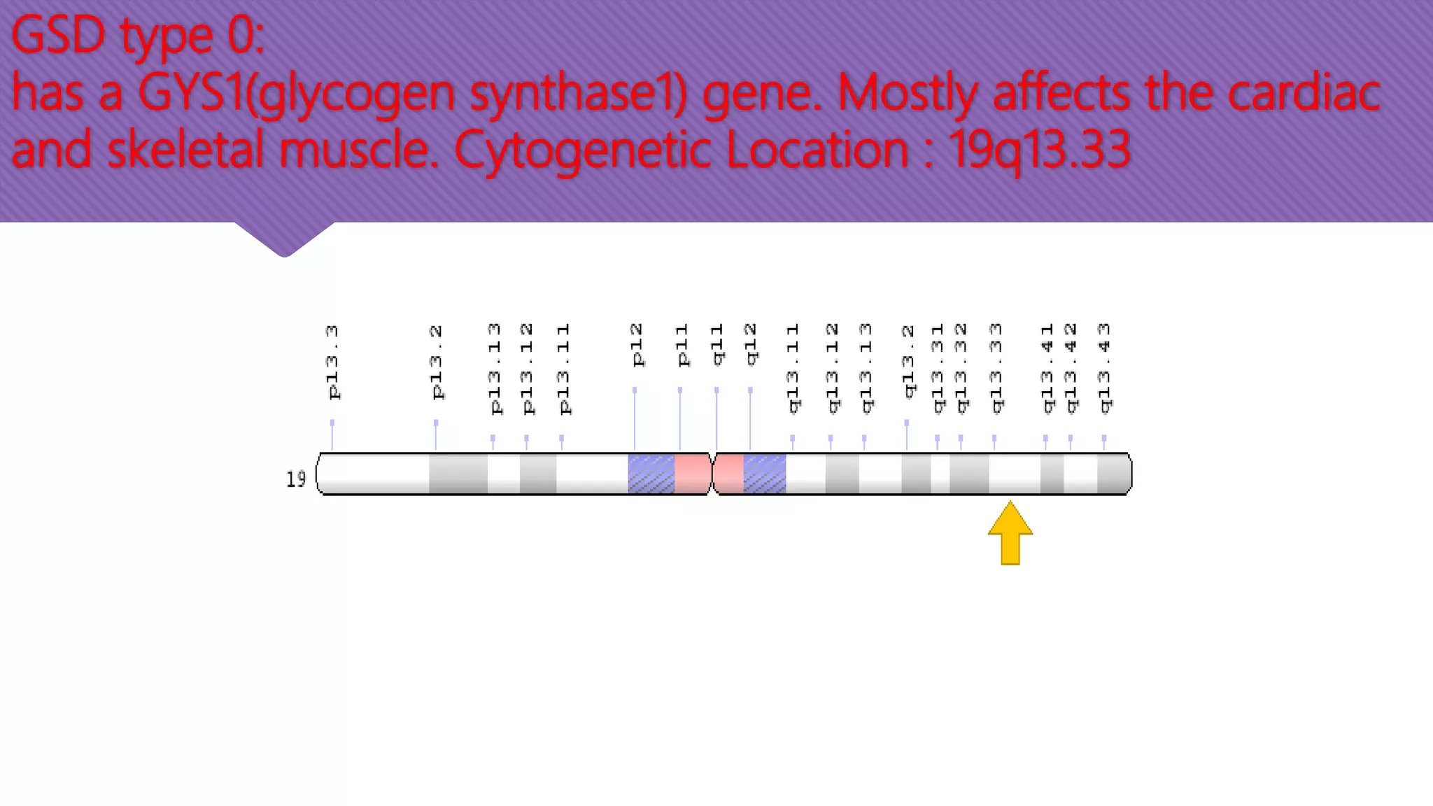 Glycogen storage disorders pathology | PPTX