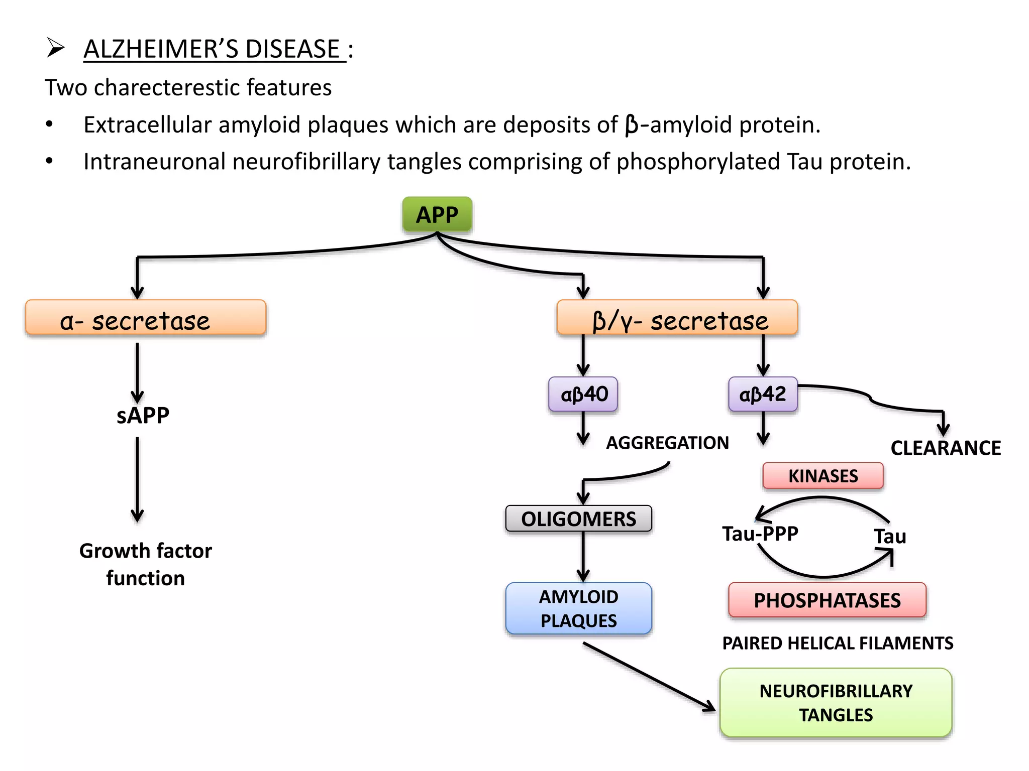Glycogen synthase kinase-3 beta.pptx
