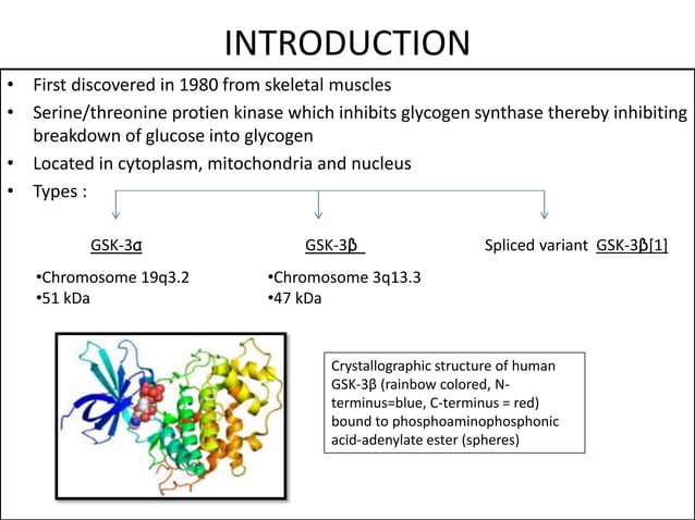 Glycogen synthase kinase-3 beta.pptx