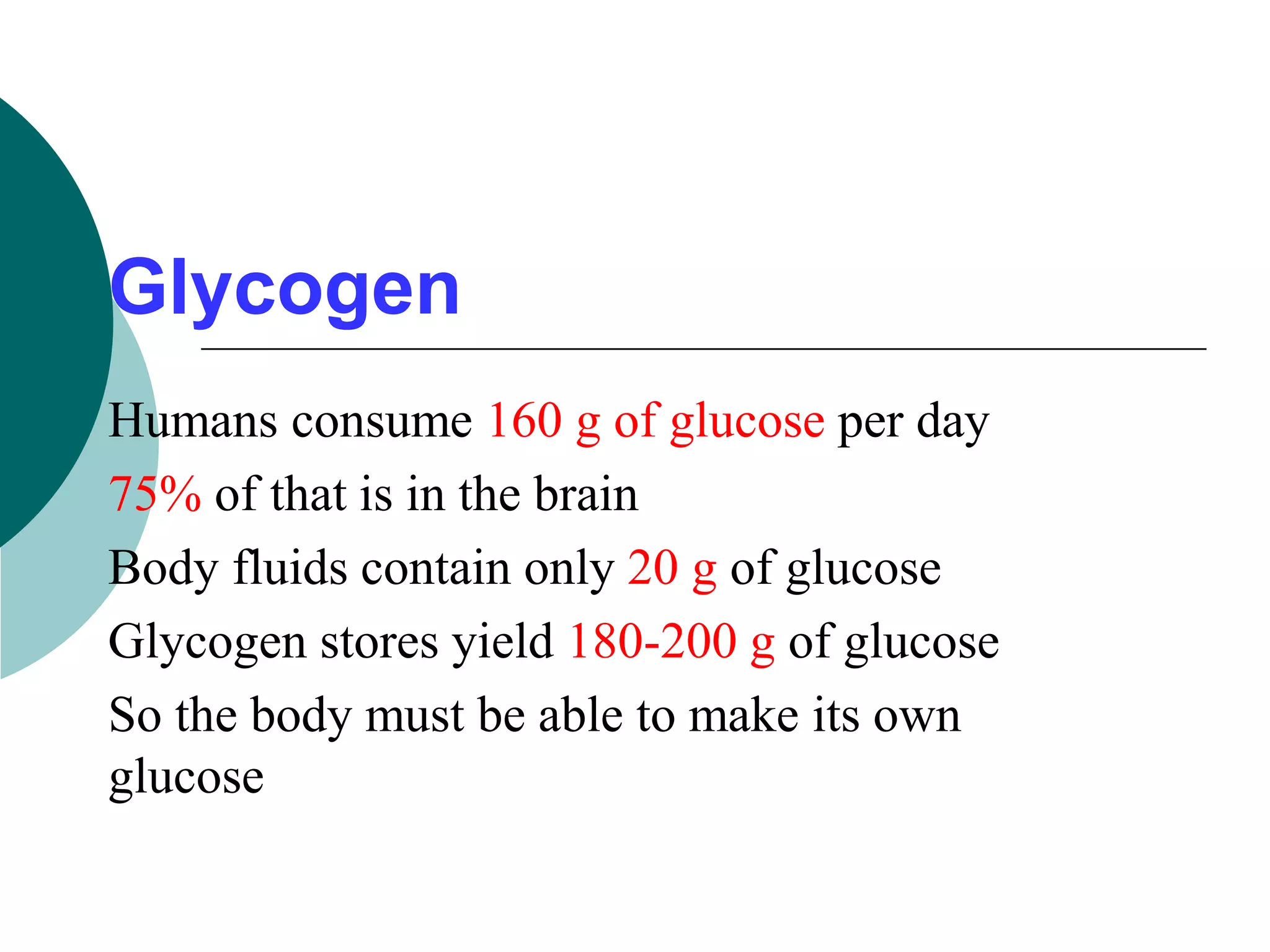 Glycogen synthesis.ppt