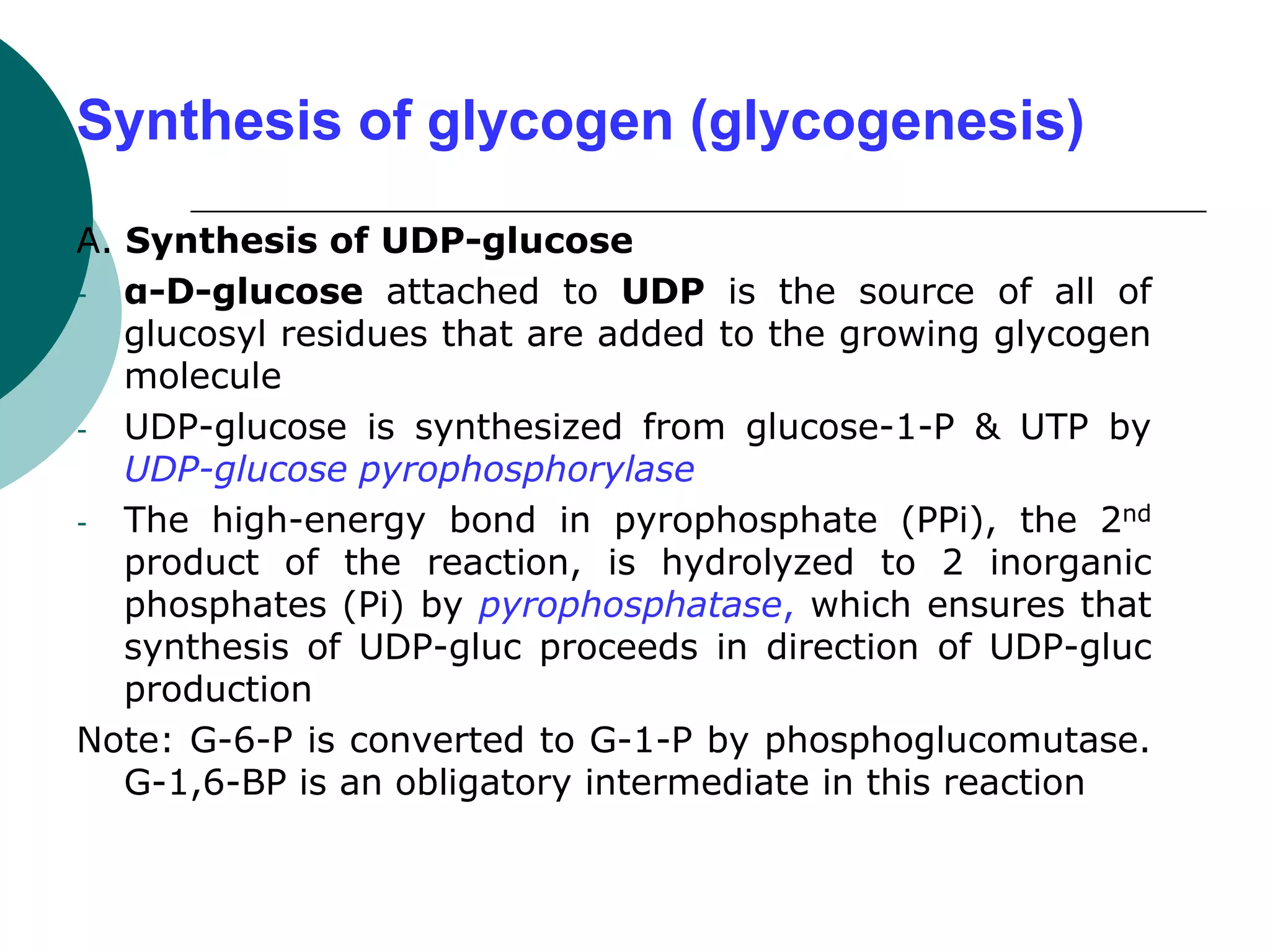 Glycogen synthesis.ppt