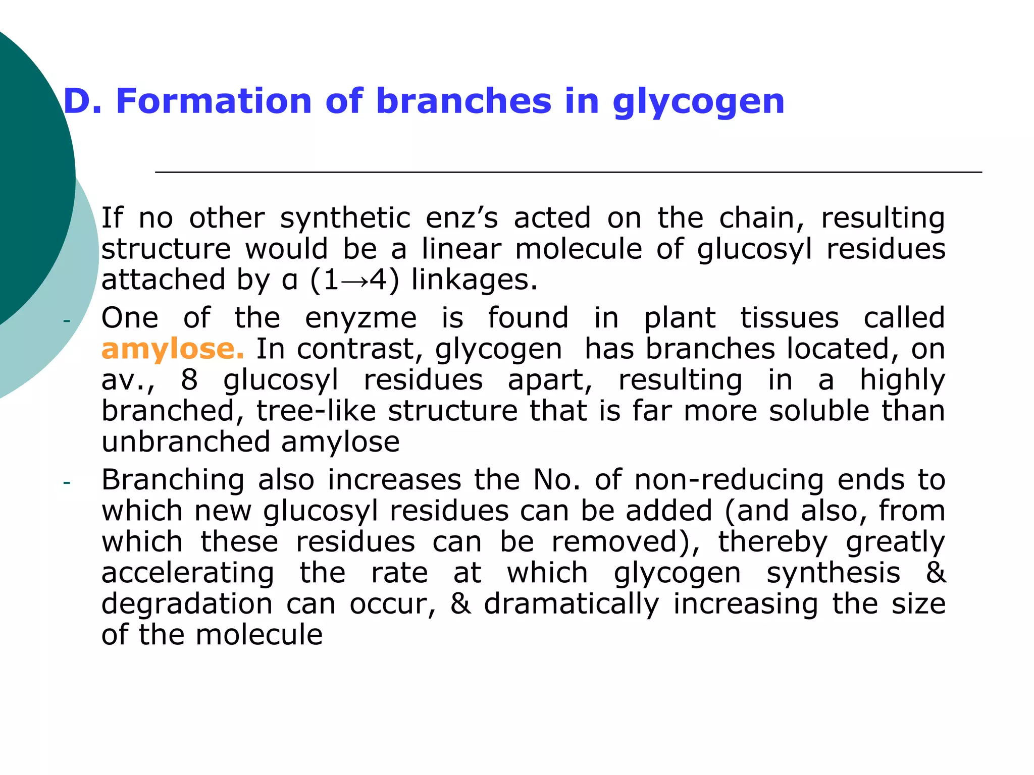 Glycogen synthesis.ppt