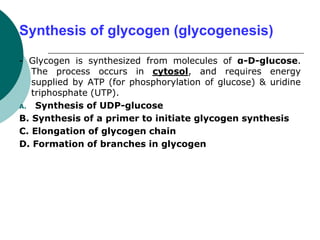 Glycogen synthesis.ppt