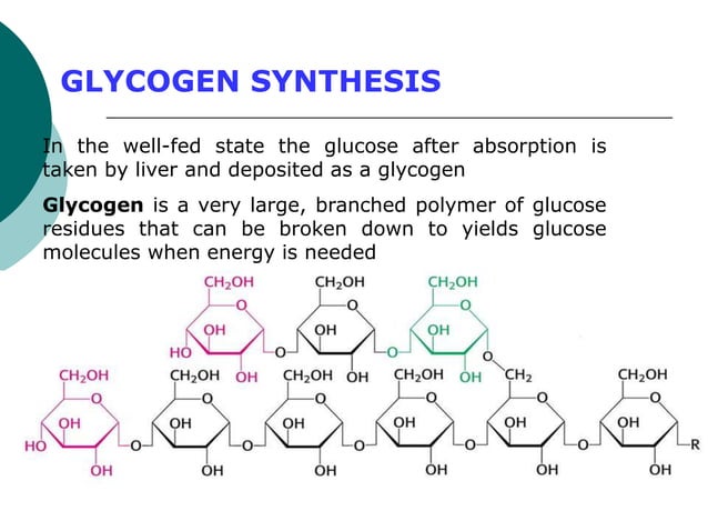 Glycogen synthesis.ppt