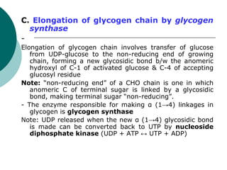 Glycogen synthesis.ppt