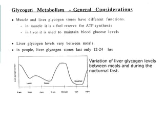 Glycogen synthesis.ppt