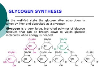 Glycogen Examples