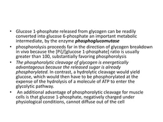 GLYCOGEN SYNTHESIS.pptxhhhhhhhhhhhhhhhhh | PPTX
