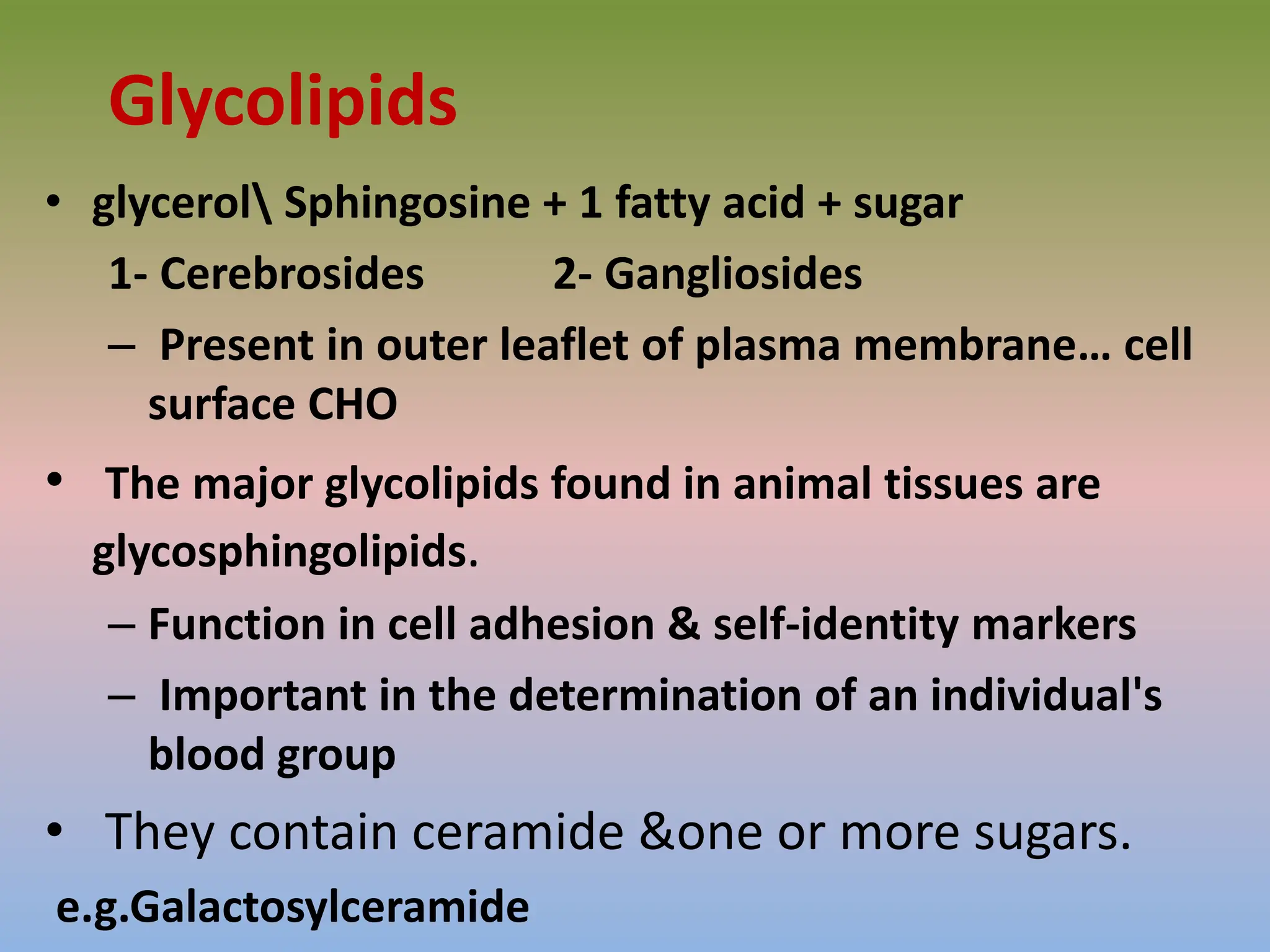 glycolipid class.pdf