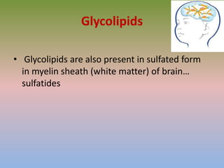 glycolipid class.pdf